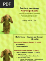 Scottie Dog Sign (Spine) Radiology Reference Article | PDF | Vertebral ...