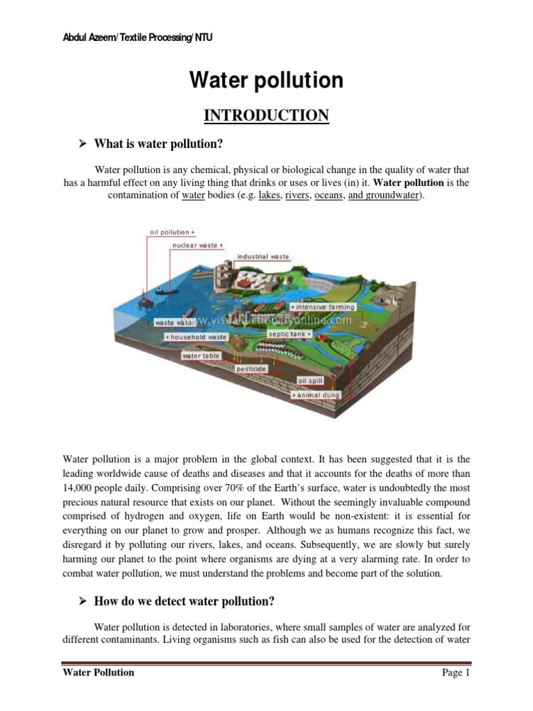 Understanding the Causes, Effects, and Solutions to the Global ...