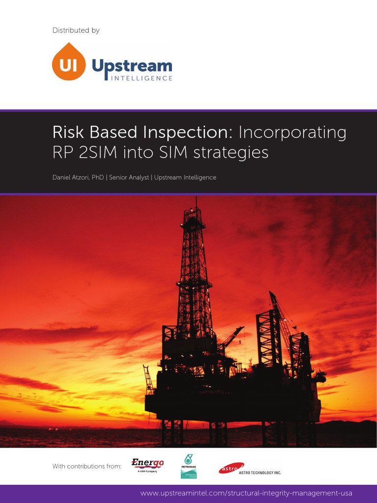 Incorporating API Code RP2SIM (Risk Based Inspection) | PDF | Risk ...