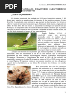 Pulgones en alfalfa: Identificación y manejo | PDF | Alfalfa | Insectos