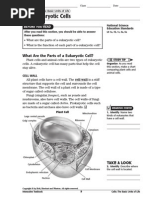 Cell City Worksheet Answer Key | PDF | Cell (Biology) | Cytoplasm