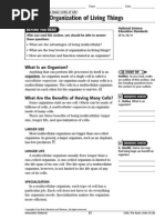 Annotated Video Script TEMPLATE Cell Cycle by Amoeba Sisters | PDF ...