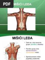 MIsici Grudnog Kosa | PDF