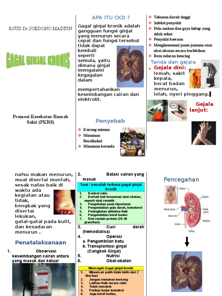 Leaflet CKD | PDF