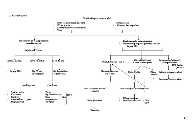 WOC Tumor sereBRI | PDF