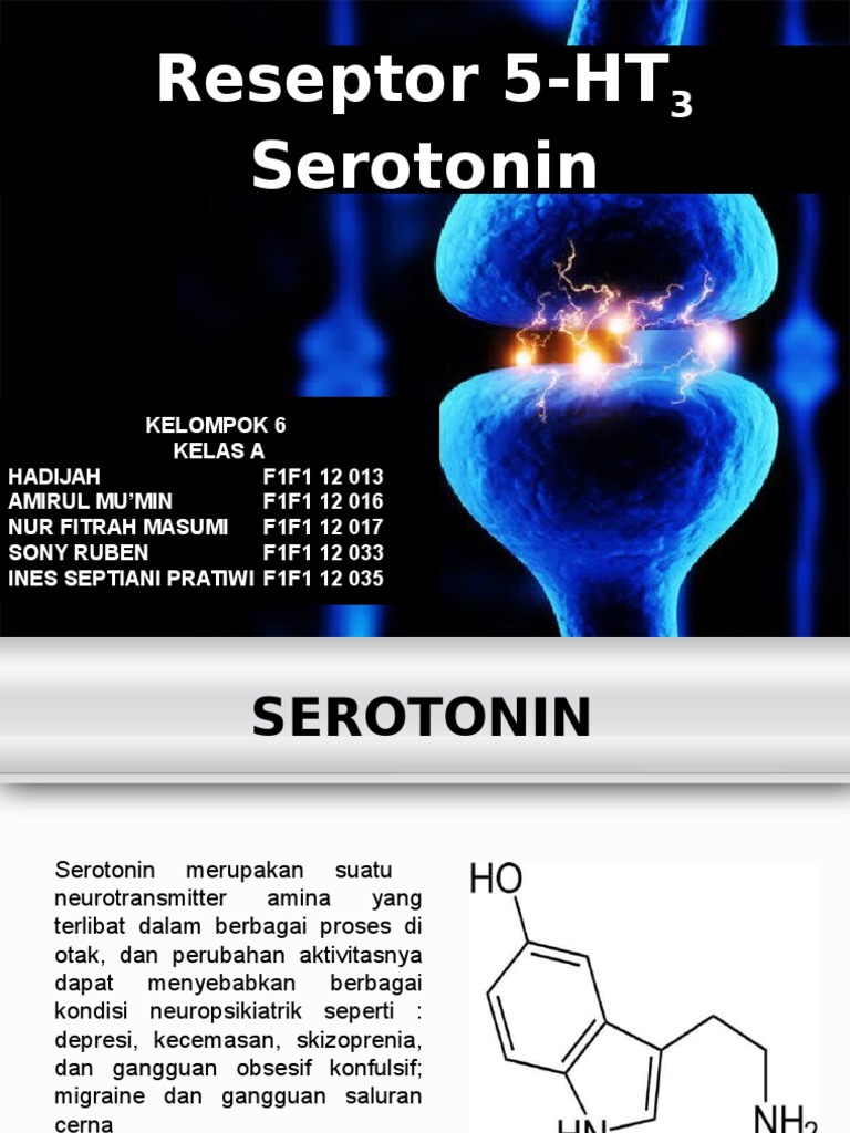 Reseptor 5 HT3 Serotonin | PDF