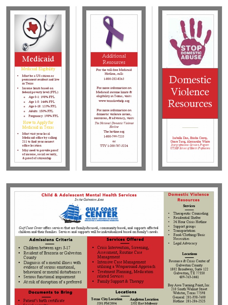 Ipe Scholar Brochure | PDF