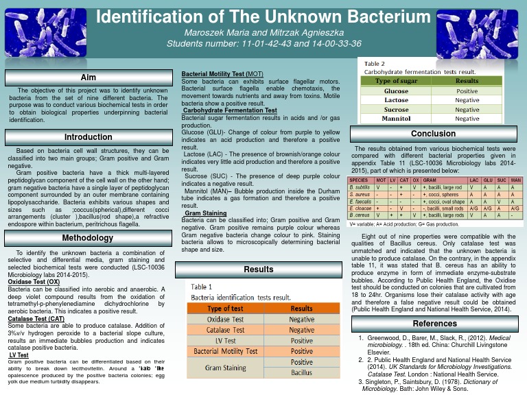 Microbiology Poster Keele | PDF | Bacteria | Gram Positive Bacteria