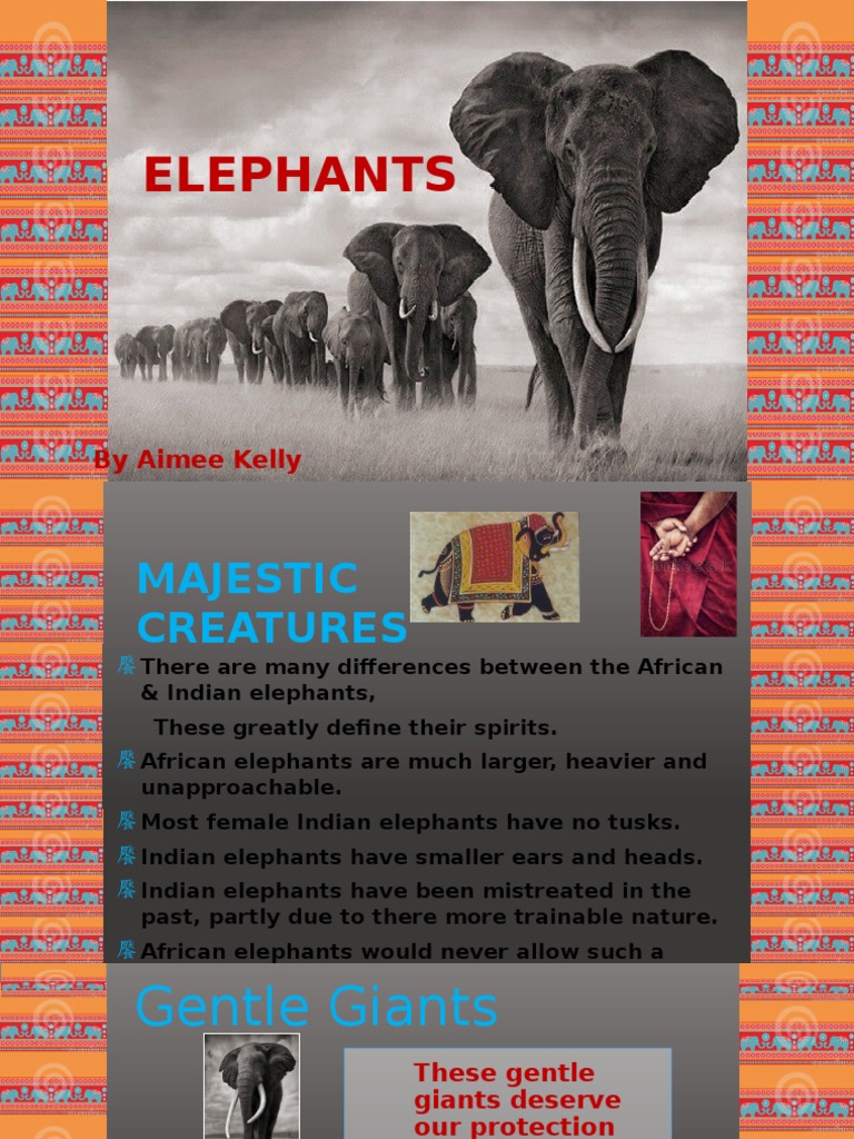 Elephants | PDF