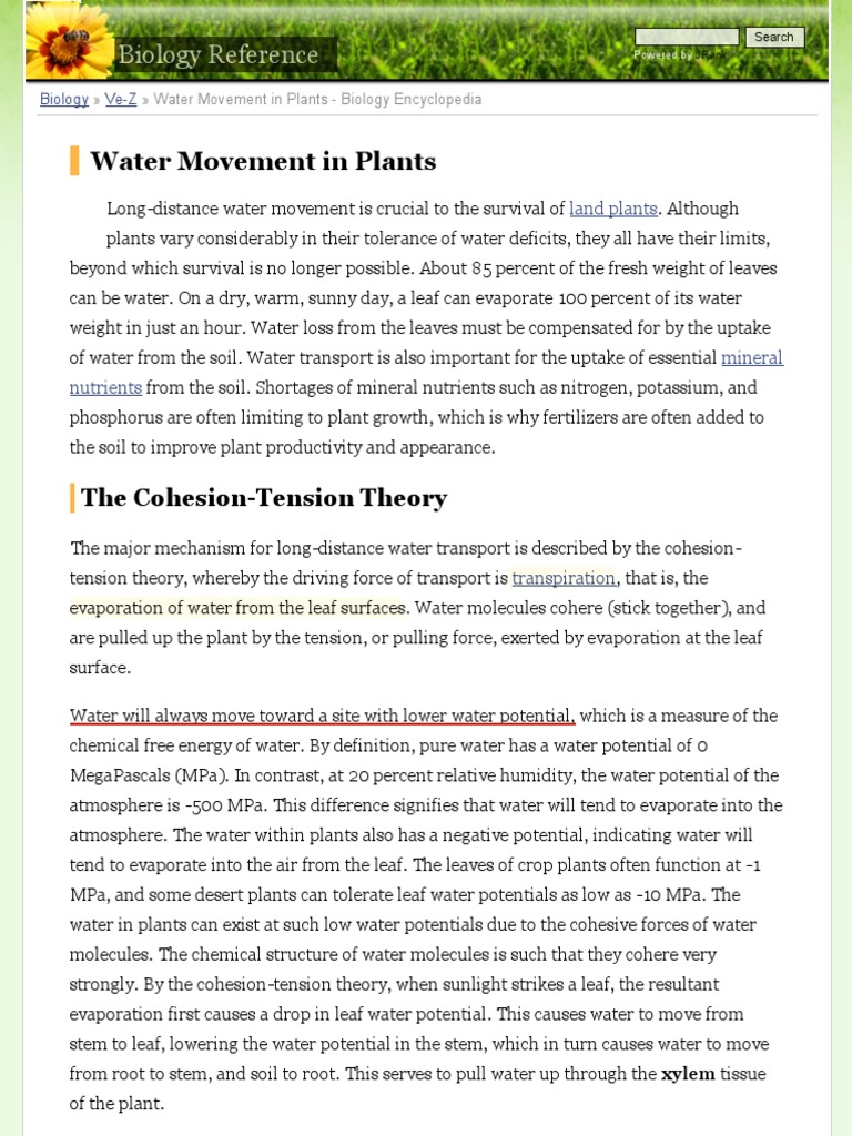 Water Movement in Plants - Biology Encyclopedia - Cells, Body, Function ...