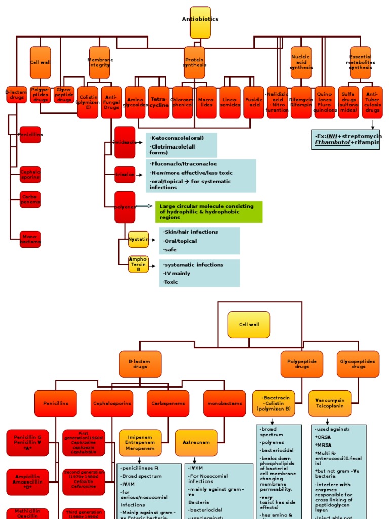 Antiobiotics Concept Map | Penicillin | Bacteria