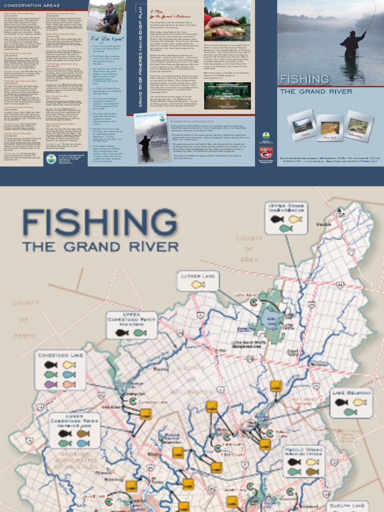 Fishing The Grand River | PDF | Rainbow Trout | Fish