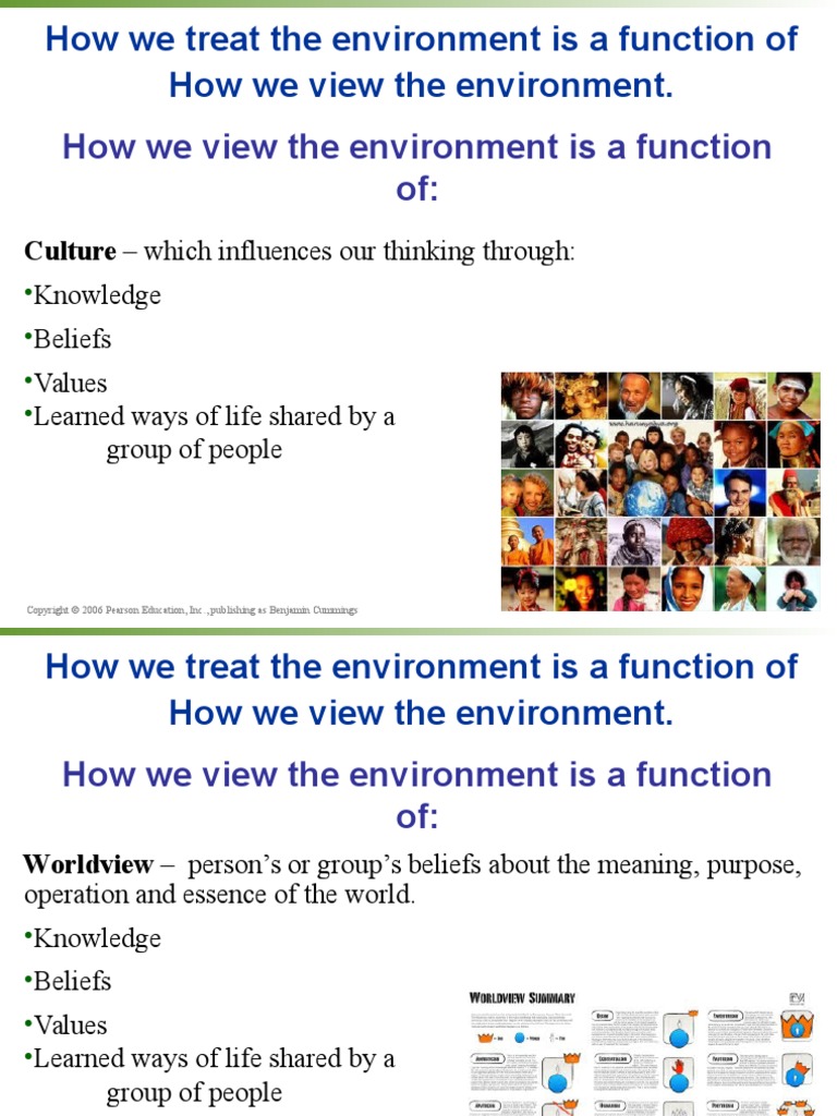 How We Treat The Environment Is A Function of How We View The ...
