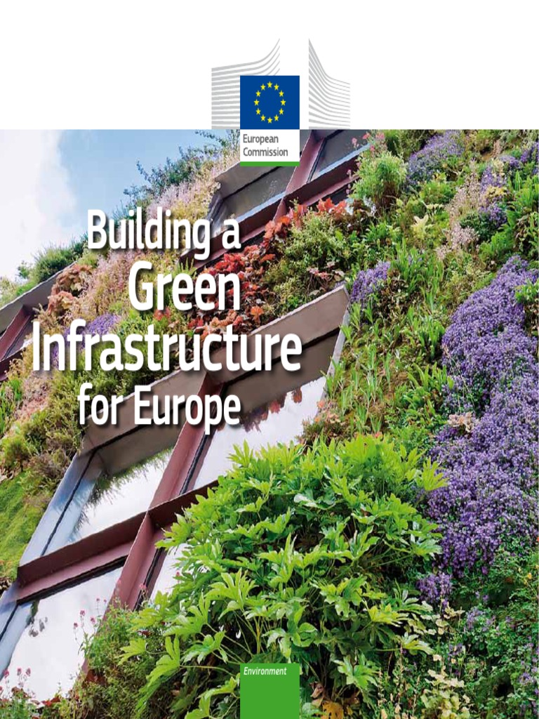 Green Infrastructure | PDF