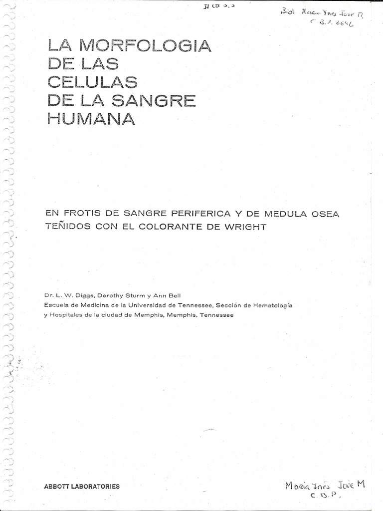 Morfologia de Las Celulas de La Sangre Humana | PDF
