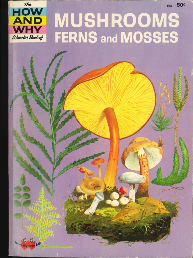 How and Why Wonder Book of Ferns and Mosses | PDF | Mushroom | Plants