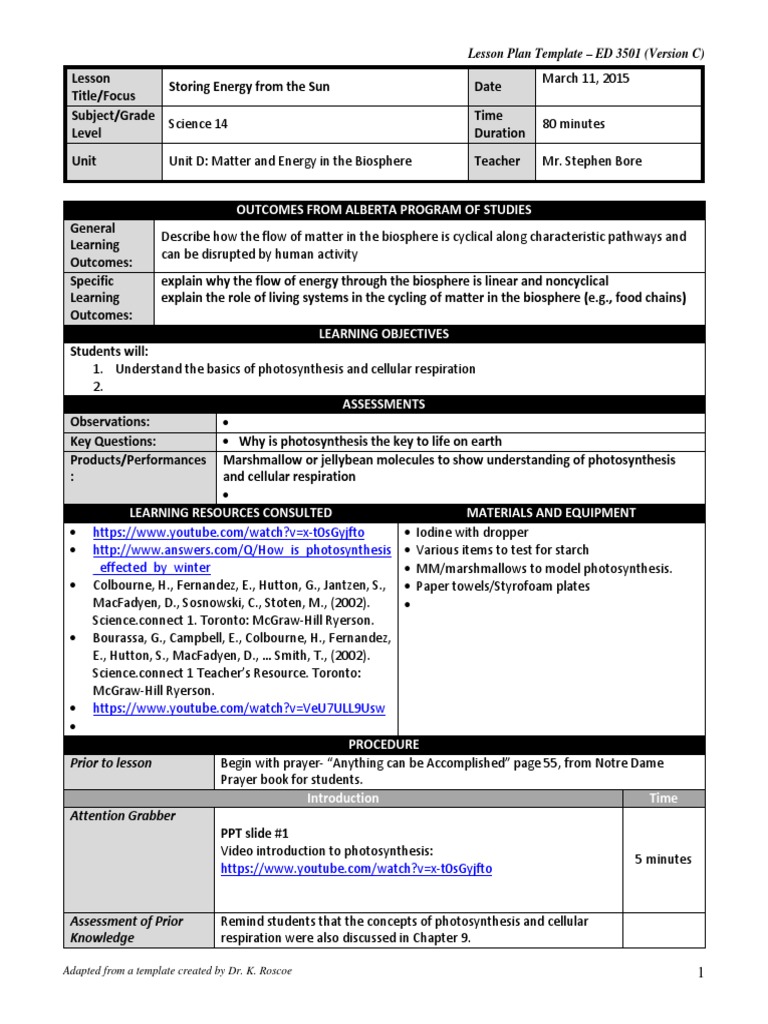 Lesson Plan: Photosynthesis Basics | PDF | Starch | Glucose