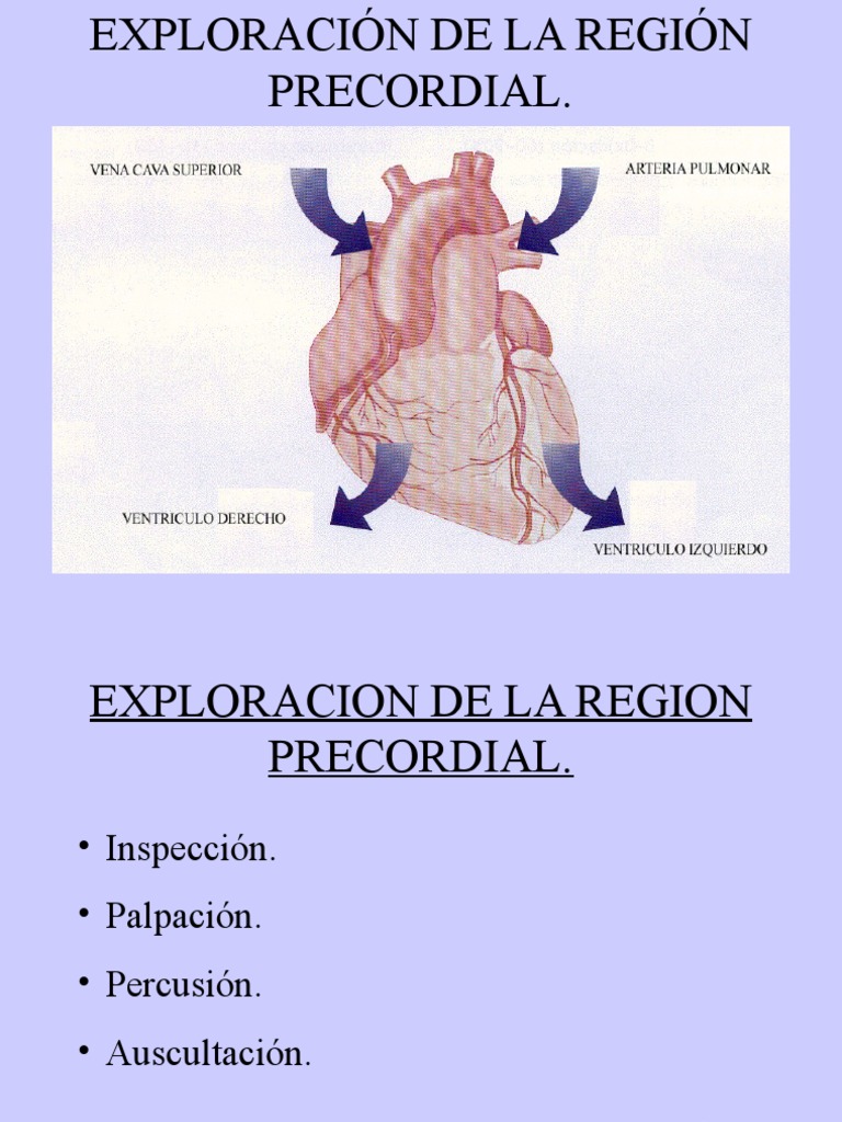 Exploracion de La Region Precordial | Corazón | Enfermedades ...