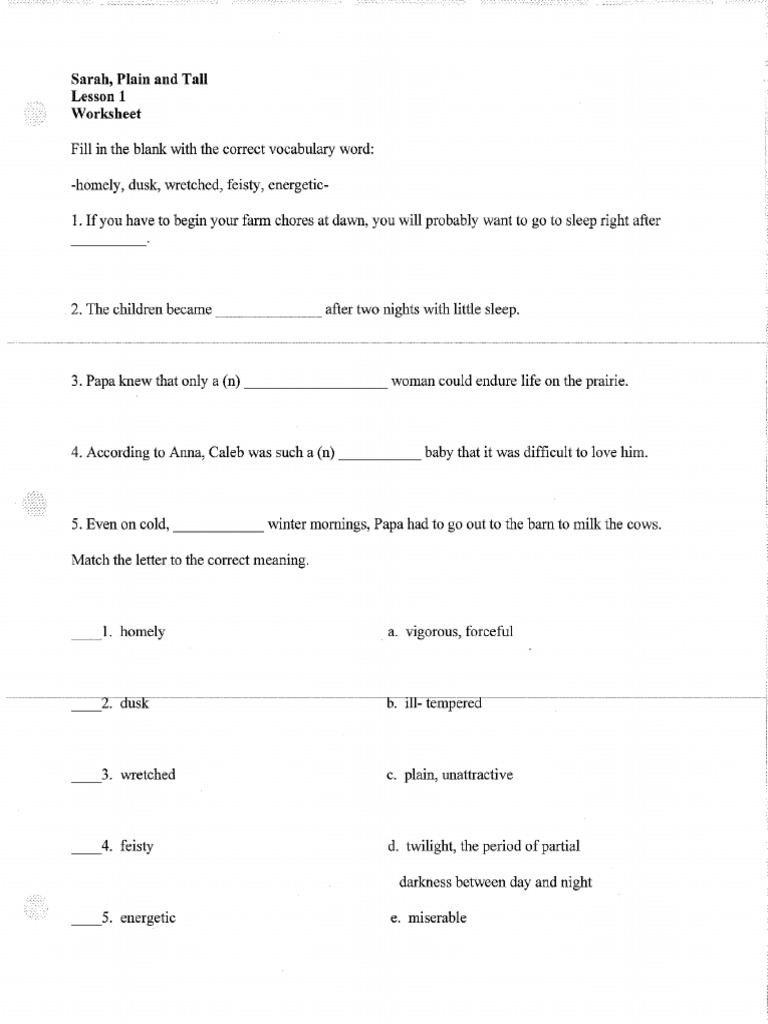 Sarah Plain and Tall Activities | PDF