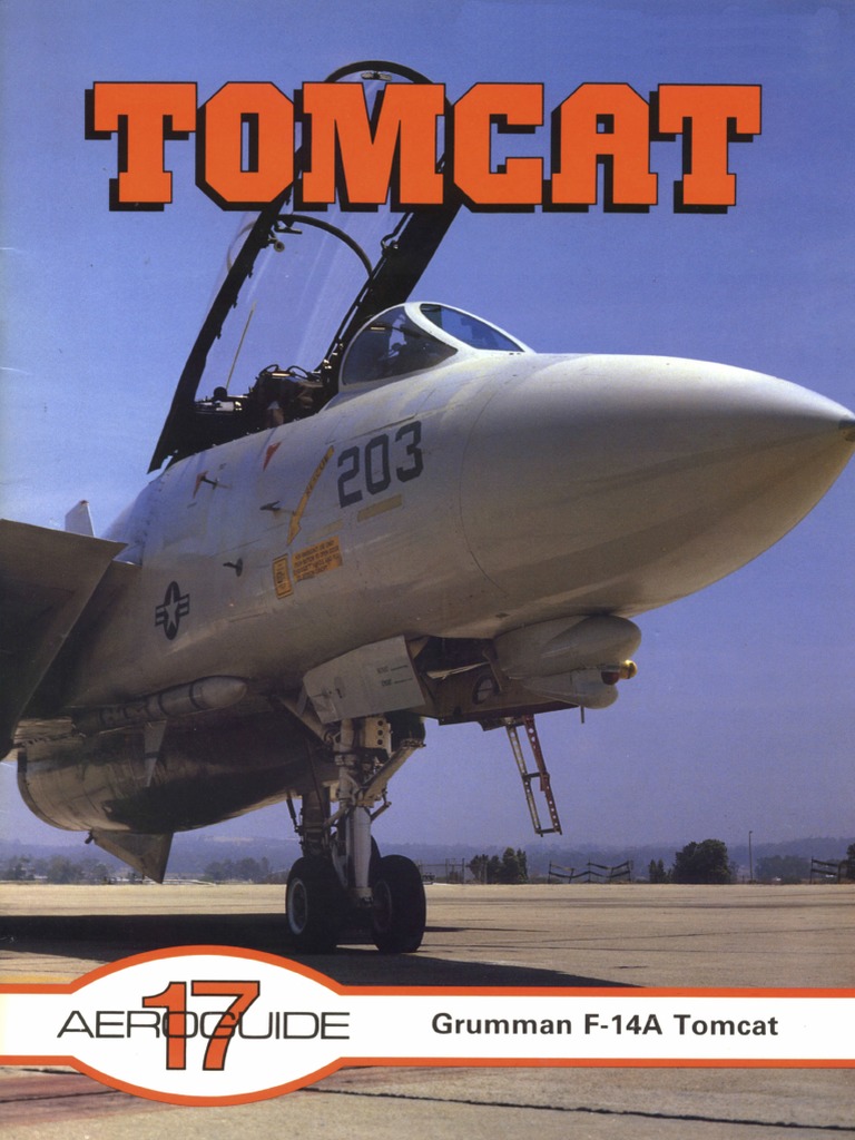 Aeroguide 17 Grumman F 14a Tomcat PDF | PDF