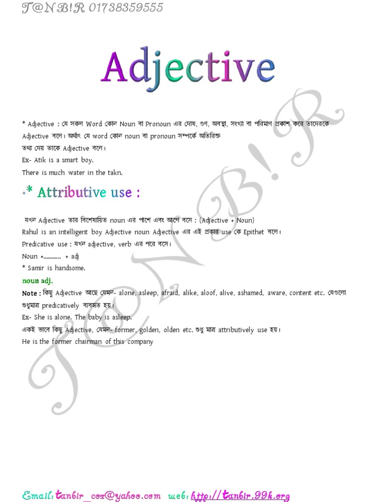 Adjective | PDF | Adjective | Noun