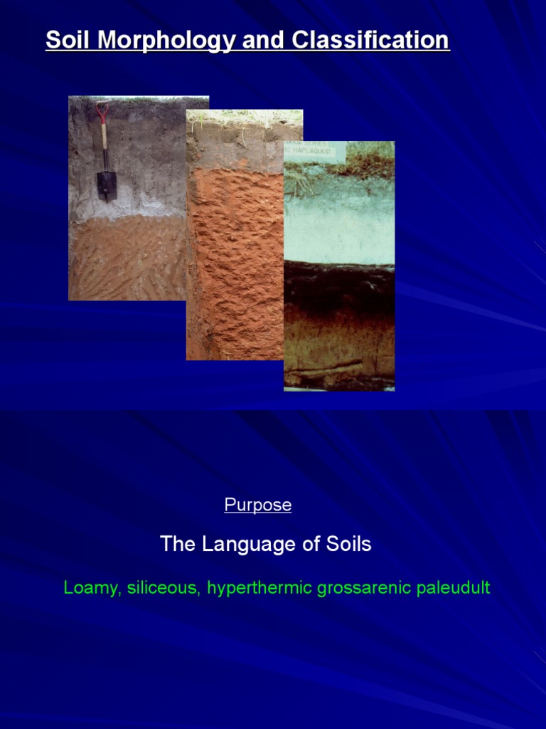 Soil Morphology and Classification: Understanding Soil Properties | PDF ...