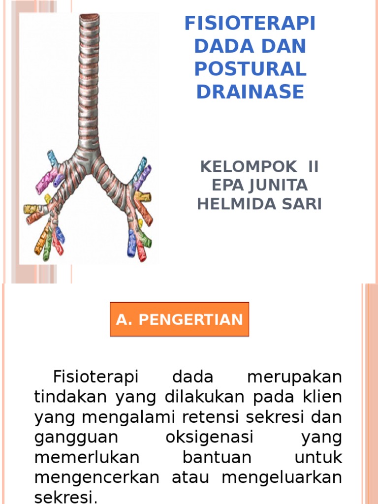 Fisioterapi Dada Dan Postural Drainase | PDF