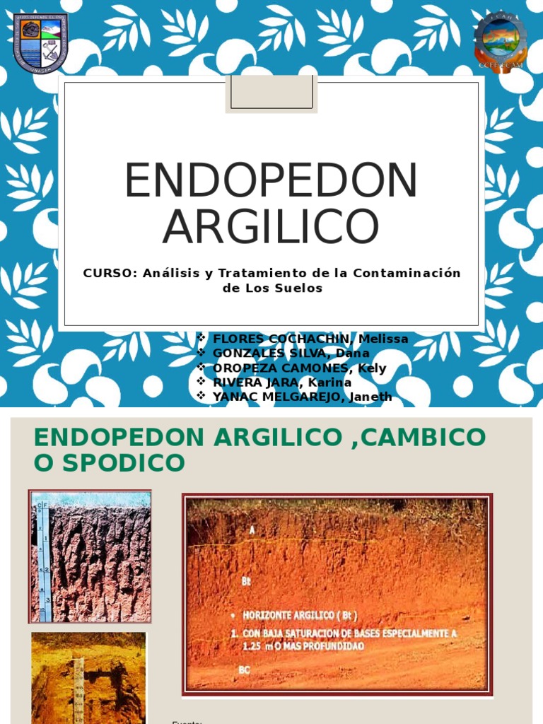Endopedon Argilico Cambico o Spodico | PDF | Suelo | Ciencias de la Tierra