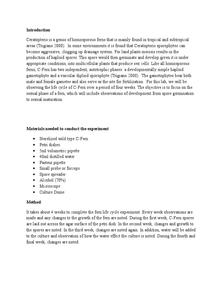 Fern Life Cycle | PDF | Spore | Germination