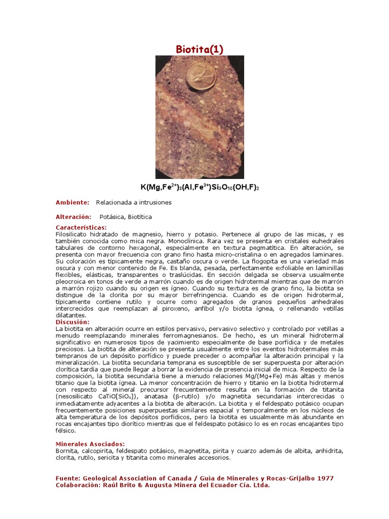 Biotita Secundaria en Porfidos | PDF | Minerales | Roca ígnea