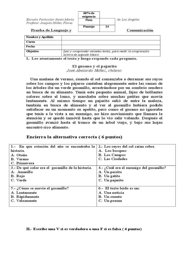 Prueba de Comprension Lectora N 1 | PDF | Aves | Chile