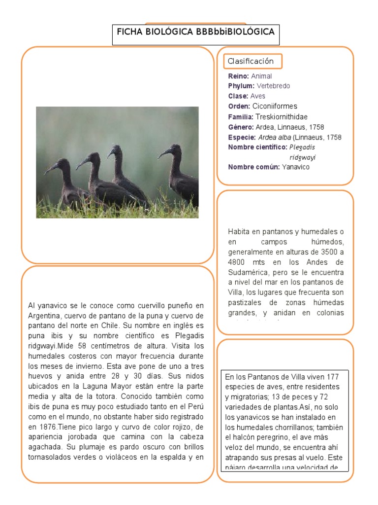 Ficha Biologica | PDF | Paravianos | Aves holarctic