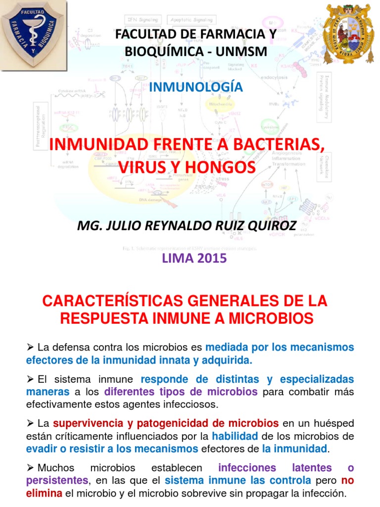 Inmunidad Frente A Bacterias, Virus y Hongos | PDF | Sistema inmune innato | Sistema inmune