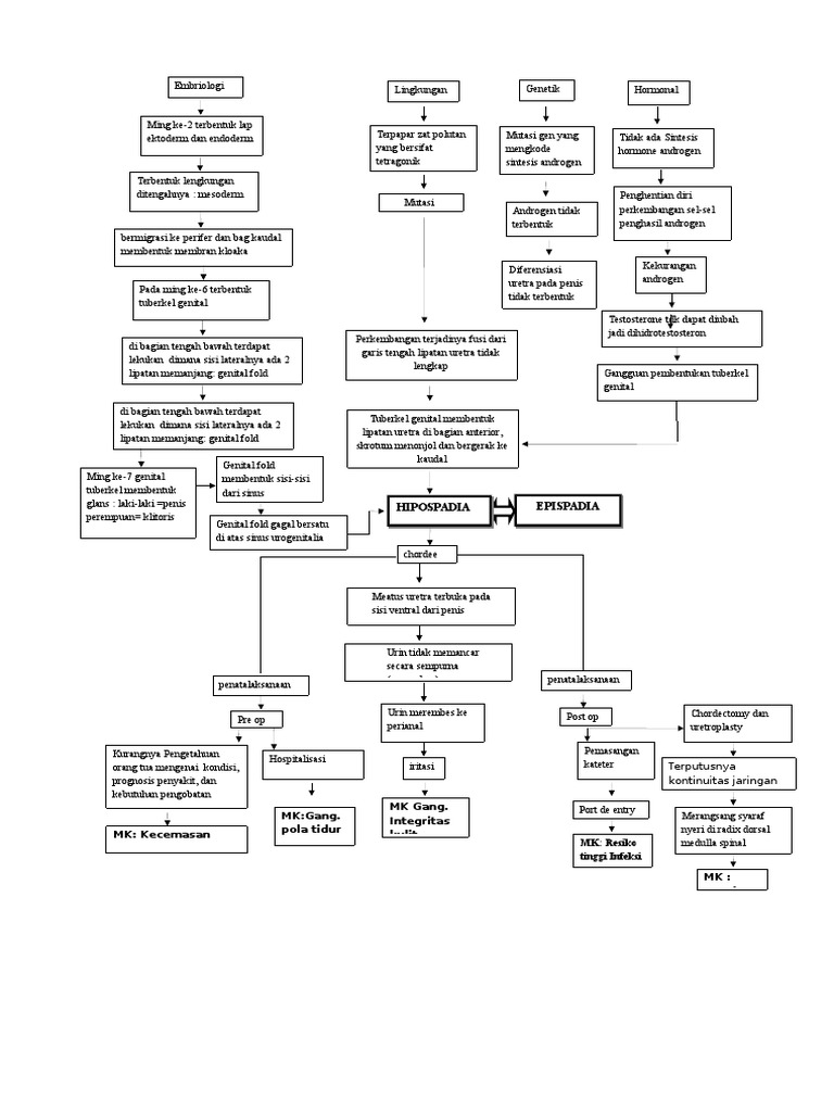 Woc Hipospadia & Epispadia | PDF