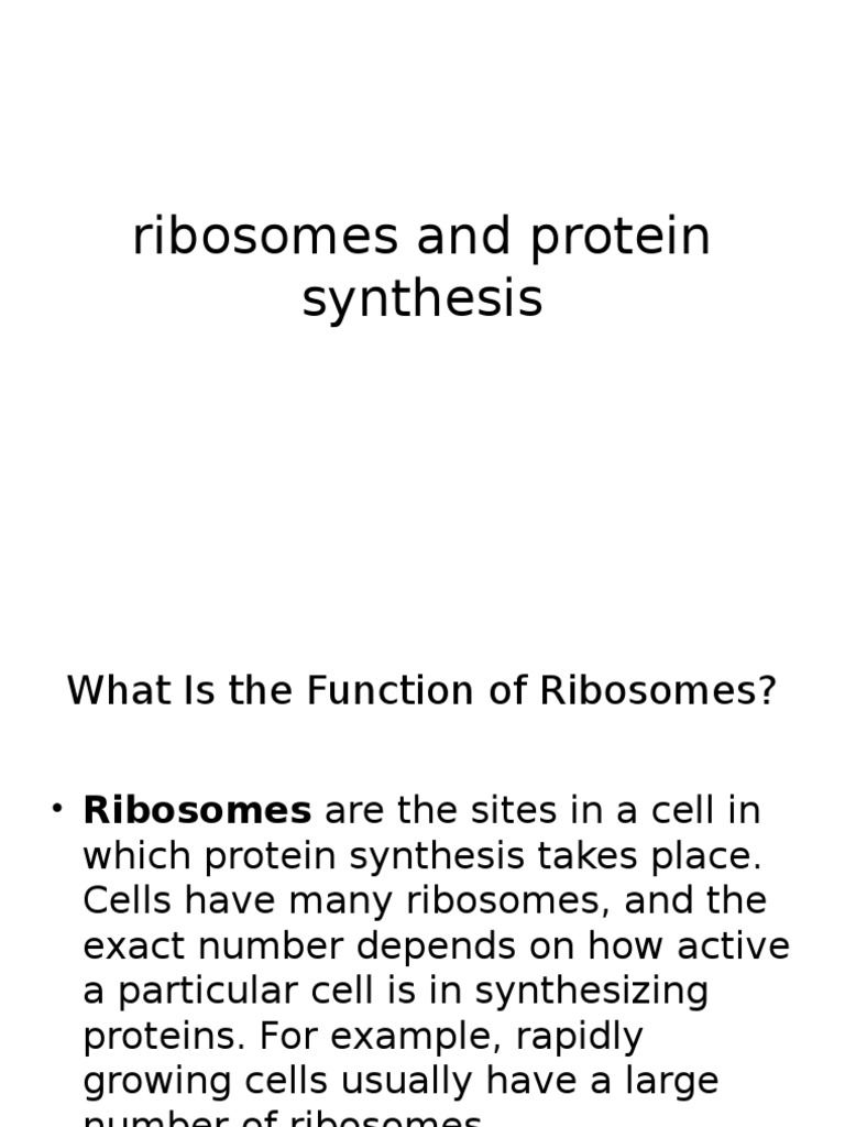 Ribosomes and Protein Synthesis | PDF | Translation (Biology) | Rna