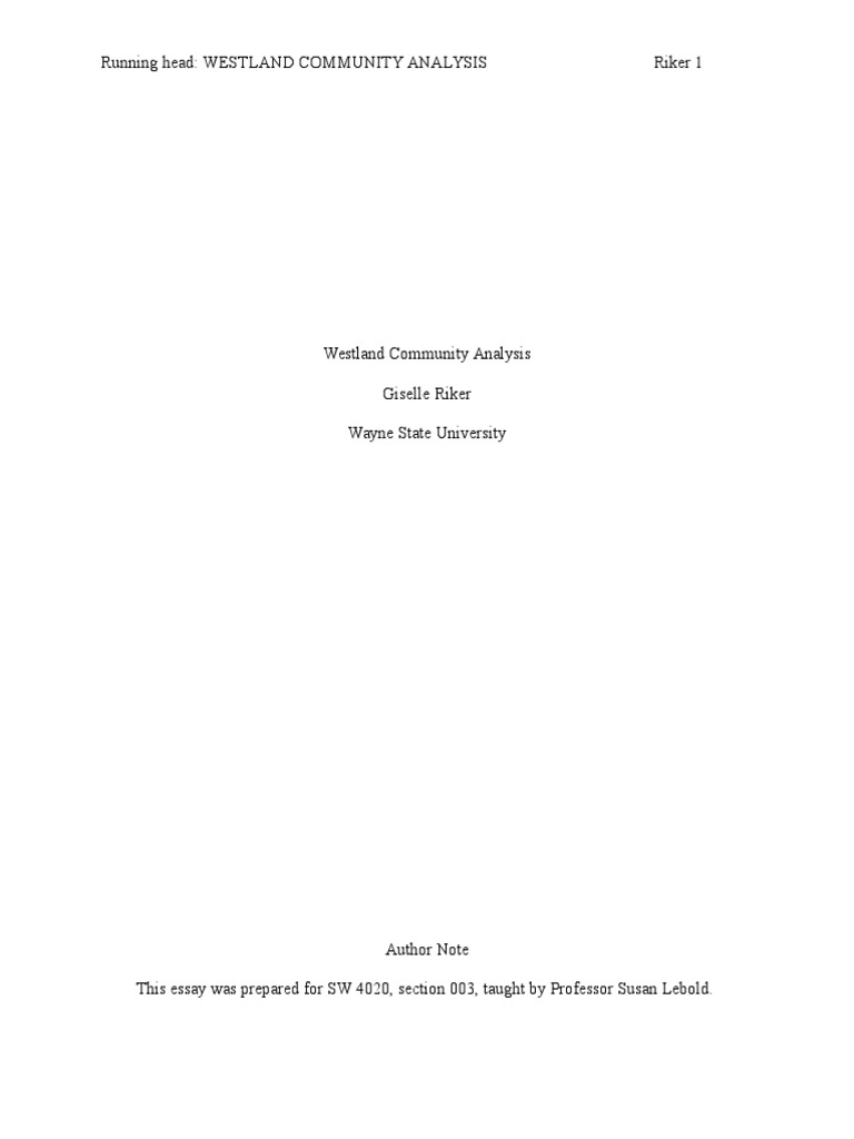 Westland Community Analysis | PDF | Race And Ethnicity In The United ...