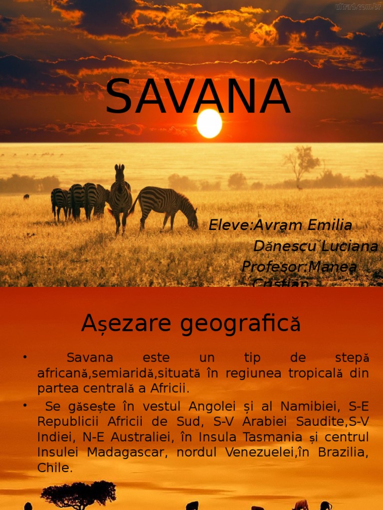 Savana