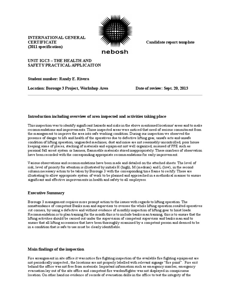 Intro Summary Main Findings and Conclusion | PDF | Occupational Safety ...