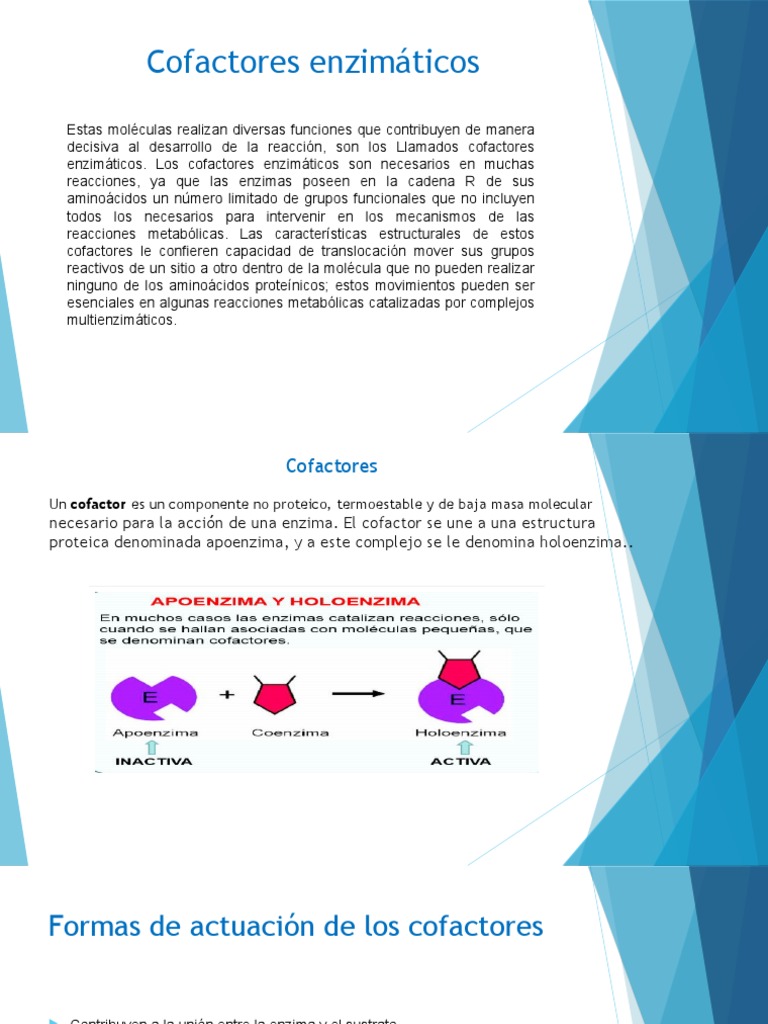 Cofactores Enzimáticos | PDF | Cofactor (Bioquímica) | Enzima