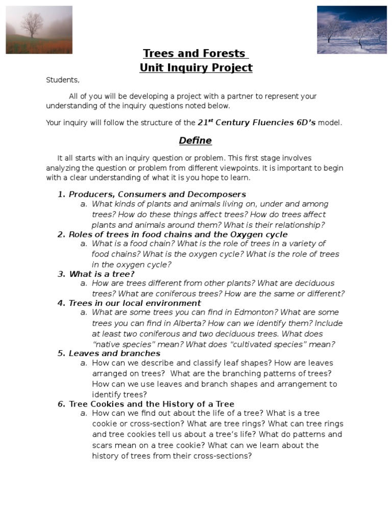 Trees and Forests Unit Inquiry Project | PDF | Trees | Leaf