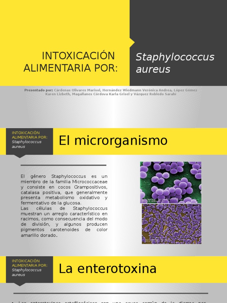 Intoxicación Alimentaria Por Estafilococo Aureus | PDF | Estafilococo ...