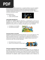 Definición de Hileras y Filas | PDF | Ciencias sociales | Historia