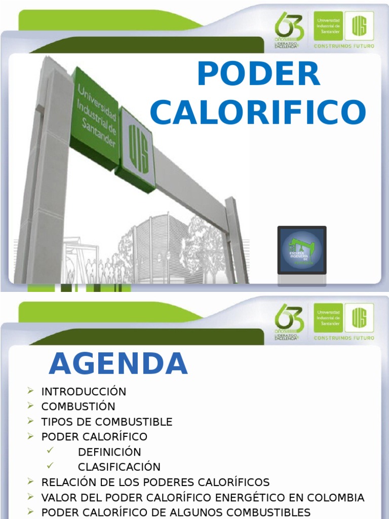 Poder Calorífico y Combustión | PDF | Combustibles | Combustión