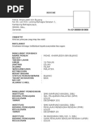 Contoh Resume Ringkas Bahasa Melayu | PDF