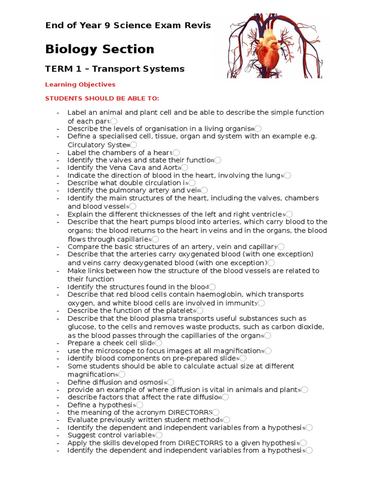 End of Year 9 Exam Revision | PDF | Blood | Circulatory System