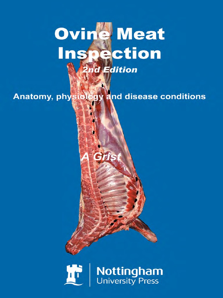 Ovine Meat Inspection PDF | PDF | Osteoblast | Vertebra