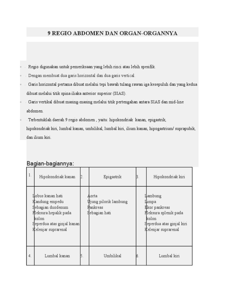 Regio Abdomen1 | PDF