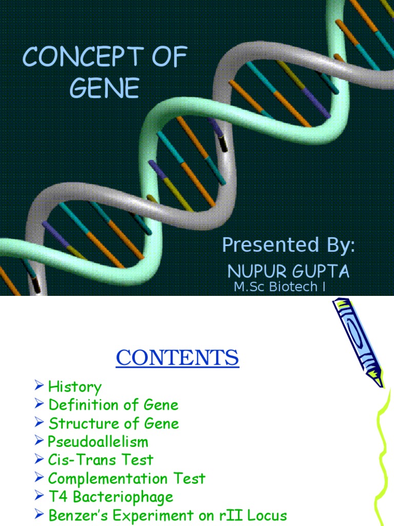 Concept of Gene | Gene | Allele