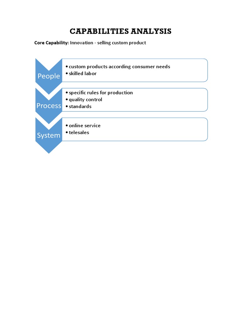 Custom Product Capabilities Analysis | PDF | Business