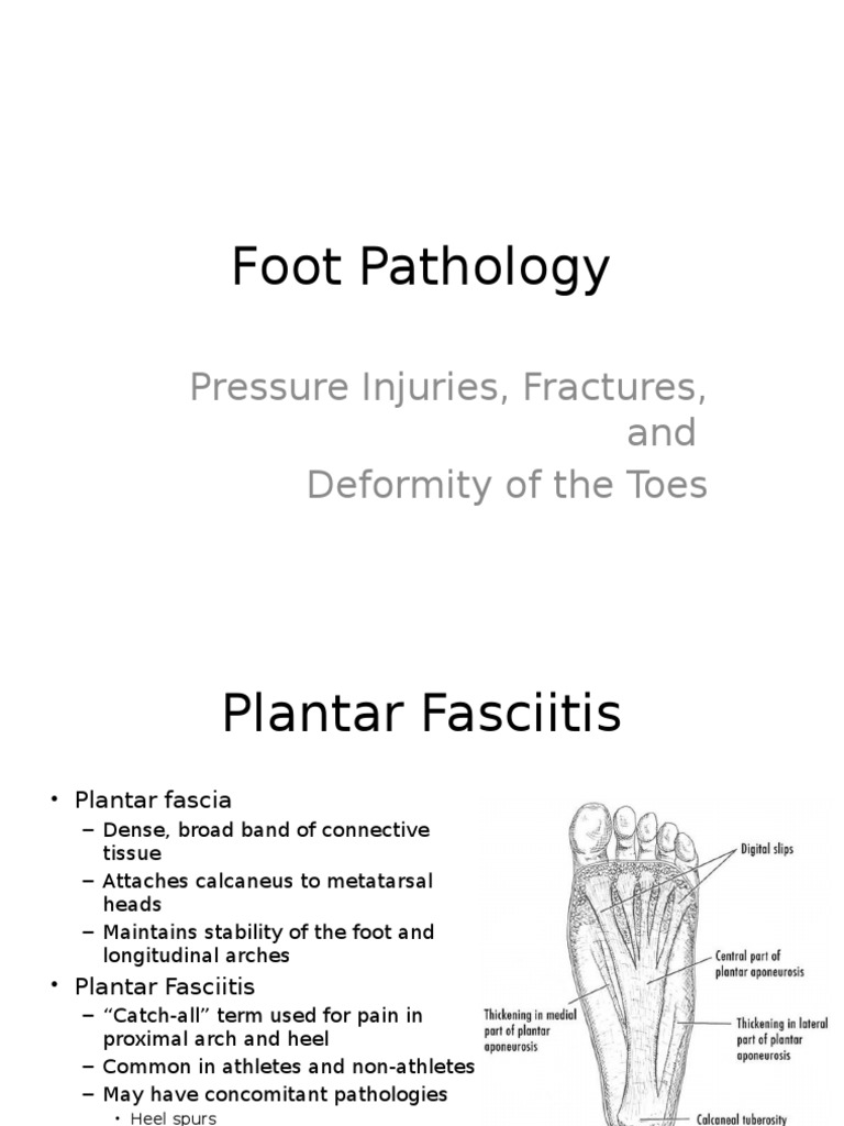 3 Foot Pathology | PDF | Toe | Foot